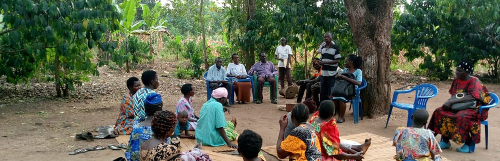 The Giving Trees | Cool Effect