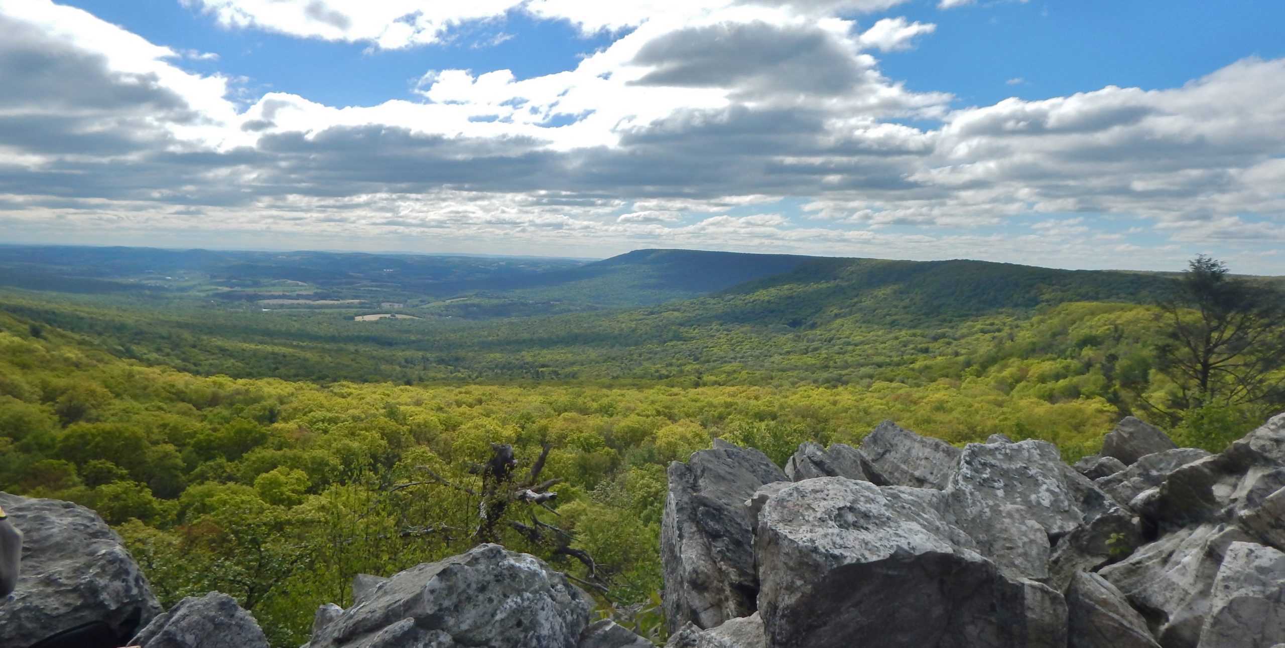 Home of the Raptors | Cool Effect
