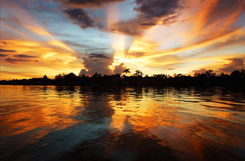 Katingan Mentaya Peat Swamp Update | Cool Effect