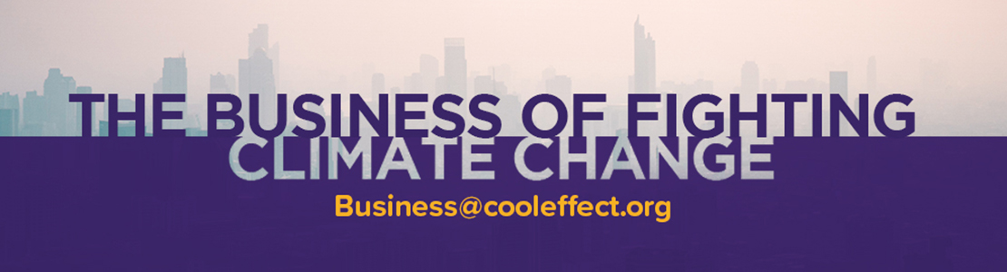 The Business of Climate: Guidance | Cool Effect
