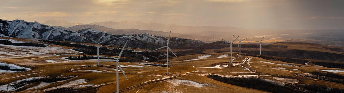 Facts About Renewable Energy | Cool Effect | Cool Effect